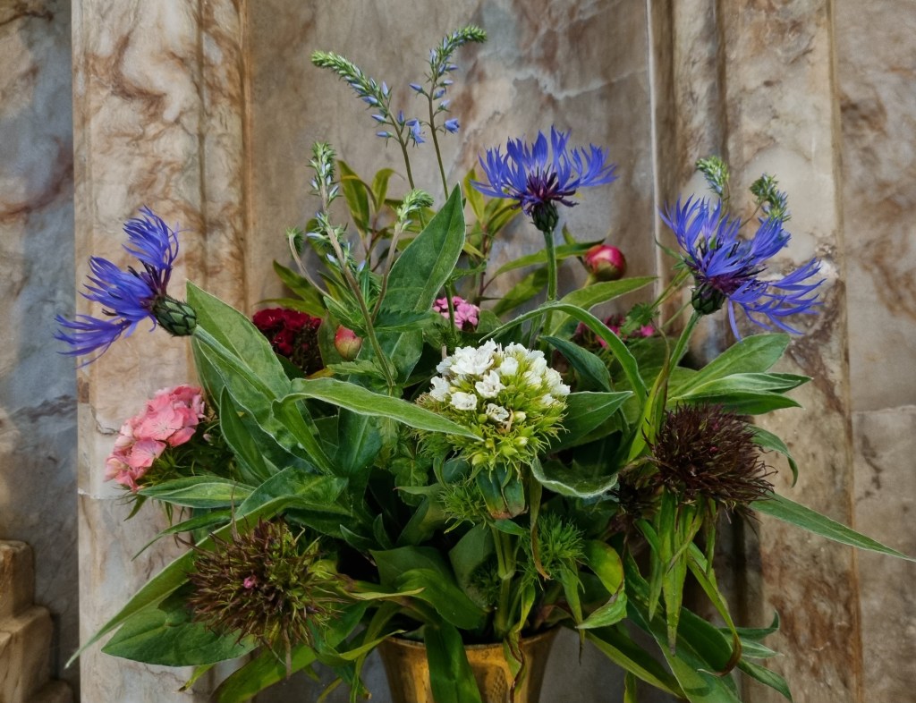 Flowers for Pentecost – 28th May, 2023 - Meres & Meadows Messenger